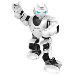 UBtech Alpha 1S Humanoid Robot | Solvelight Robotics
